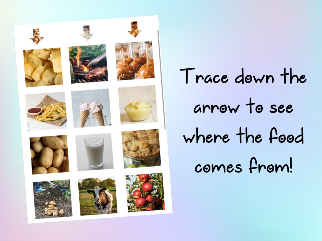 Where Does Food Come From, How Educational Printable Activity, Home ...