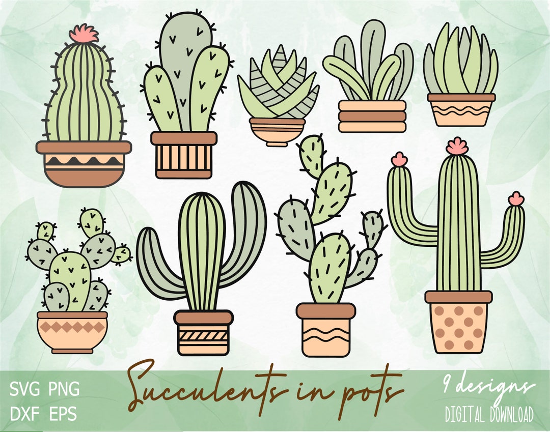 SVG PNG Cactus in Pots Bundle, Succulent in Pot, Cacti Hand Drawn ...
