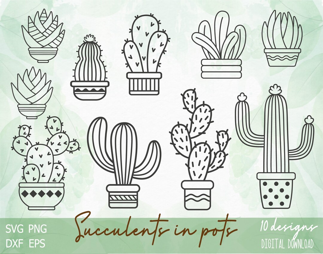 SVG PNG Cactus in Pots Bundle, Succulent in Pot, Cacti Hand Drawn ...