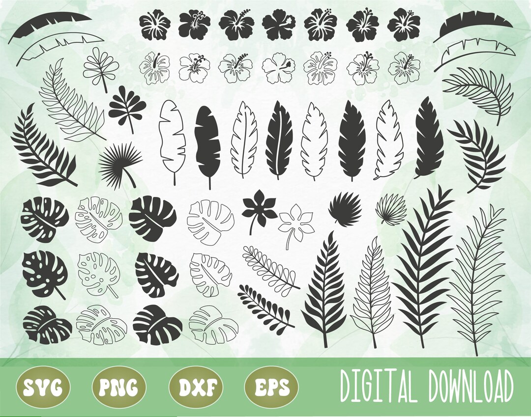 SVG PNG Tropical Leaves and Hibiscus Bundle, Monstera Leaf Svg, Palm ...