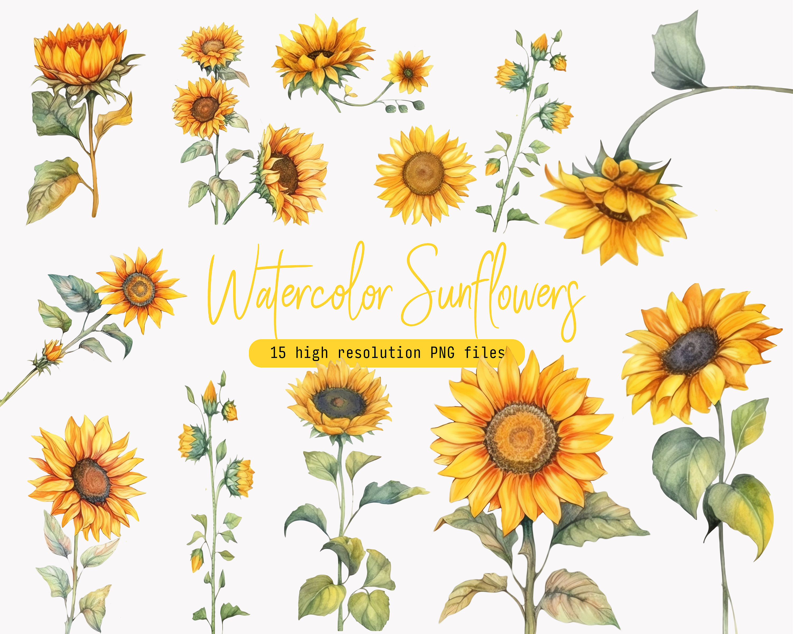 Sunflowers Clipart - Watercolor Sunflowers - Floral Clipart - Premade ...