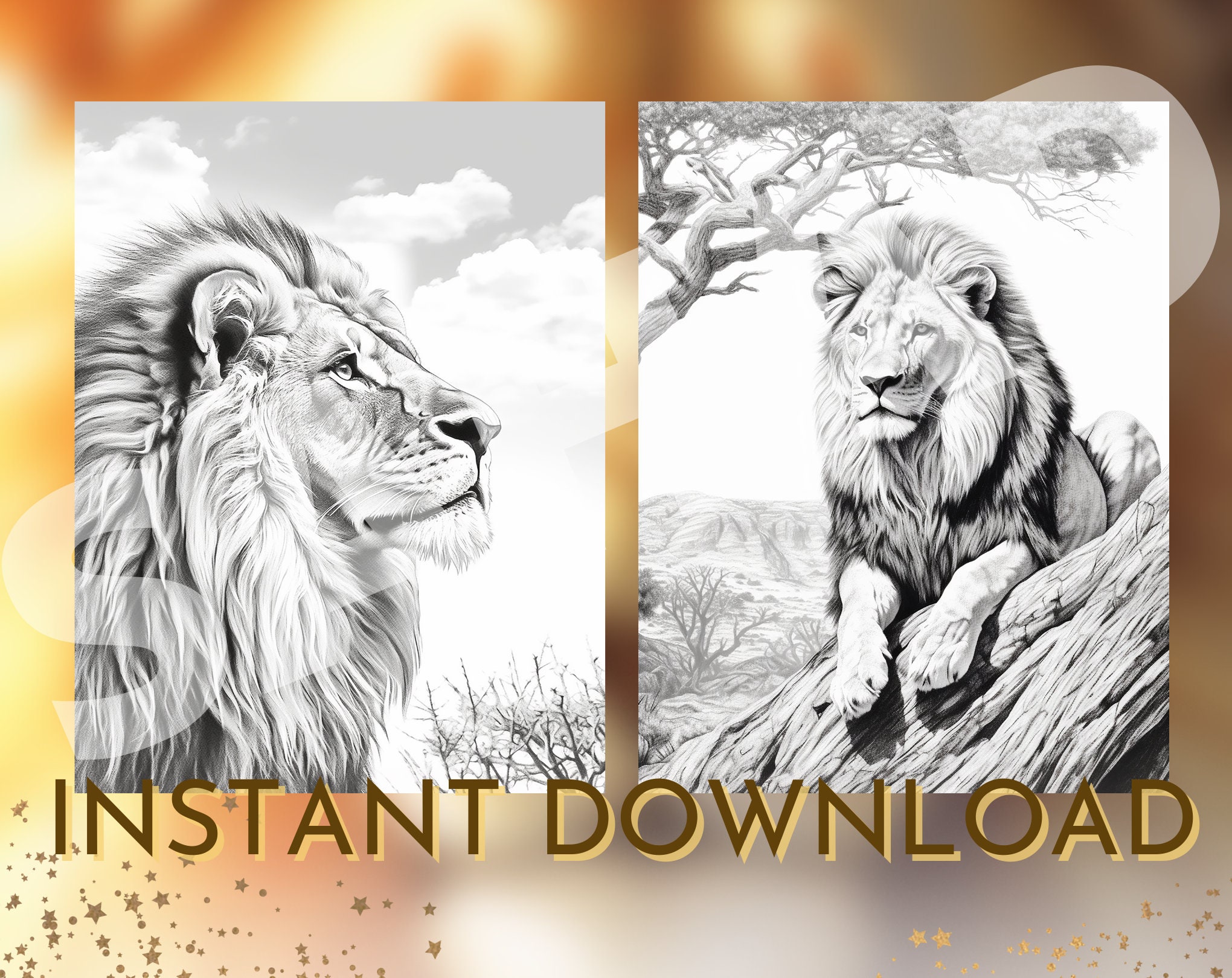21 Realistic Lions Coloring Book Grayscale Adult and Kids - Etsy