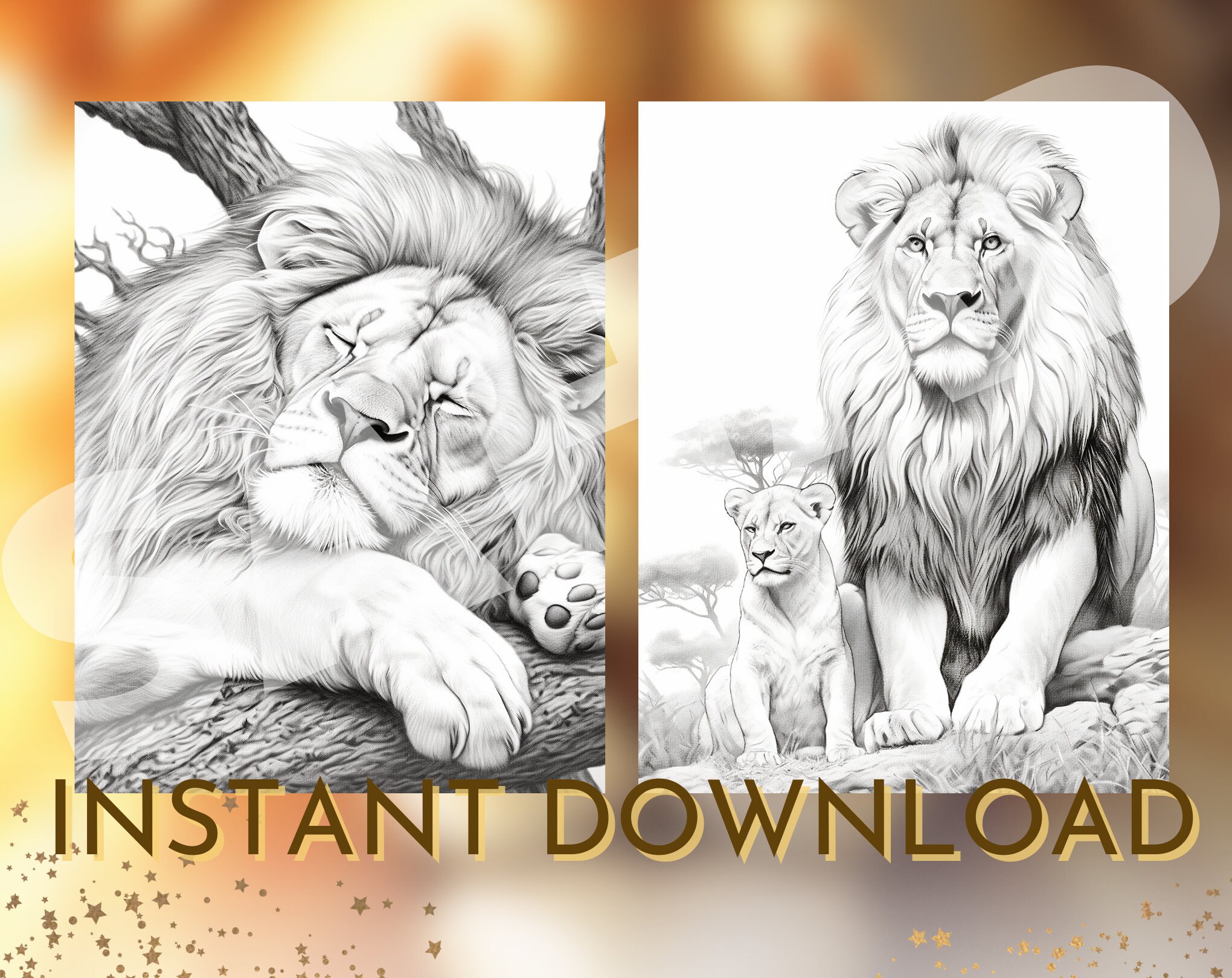 21 Realistic Lions Coloring Book Grayscale Adult and Kids - Etsy