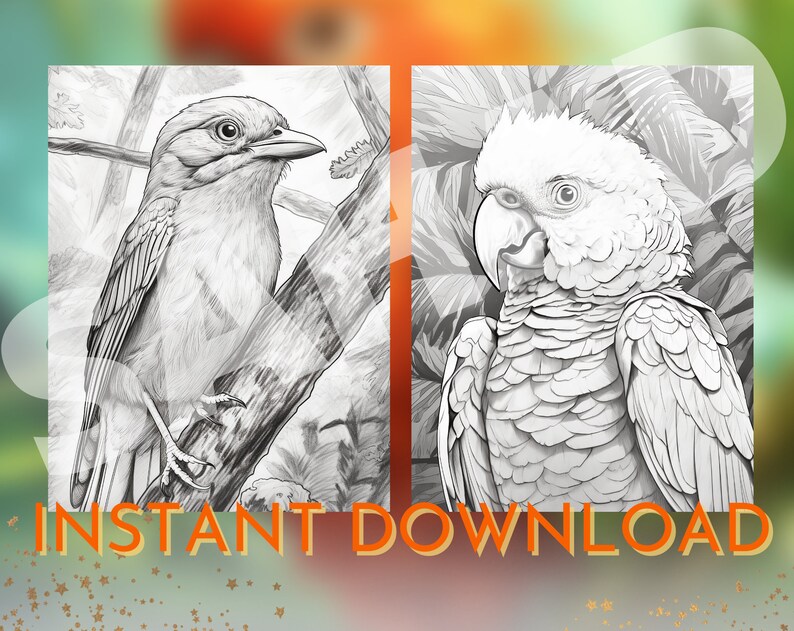 21 Realistic Birds Coloring Book Grayscale Adult and Kids - Etsy