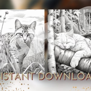 21 Realistic Cats Coloring Book Vol.02 Adult and Kids - Etsy