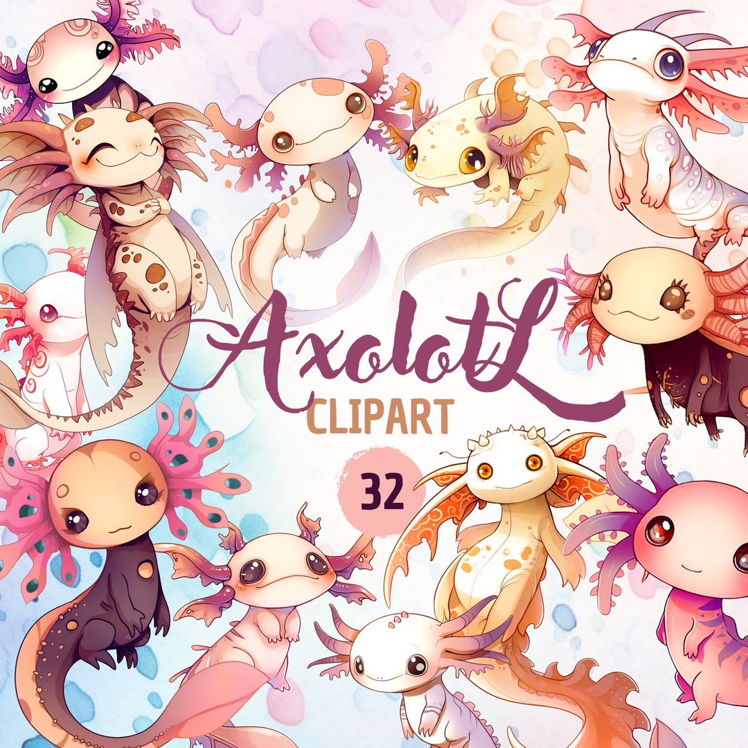 Whimsical Axolotl Clipart Bundle - Perfect for Adding Cuteness to Your ...