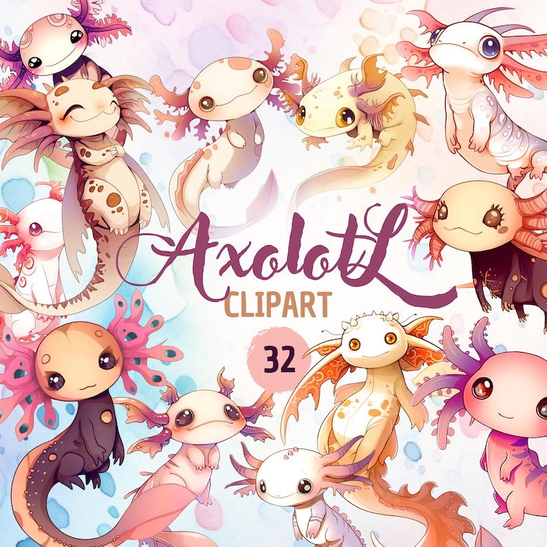 Whimsical Axolotl Clipart Bundle - Perfect for Adding Cuteness to Your ...