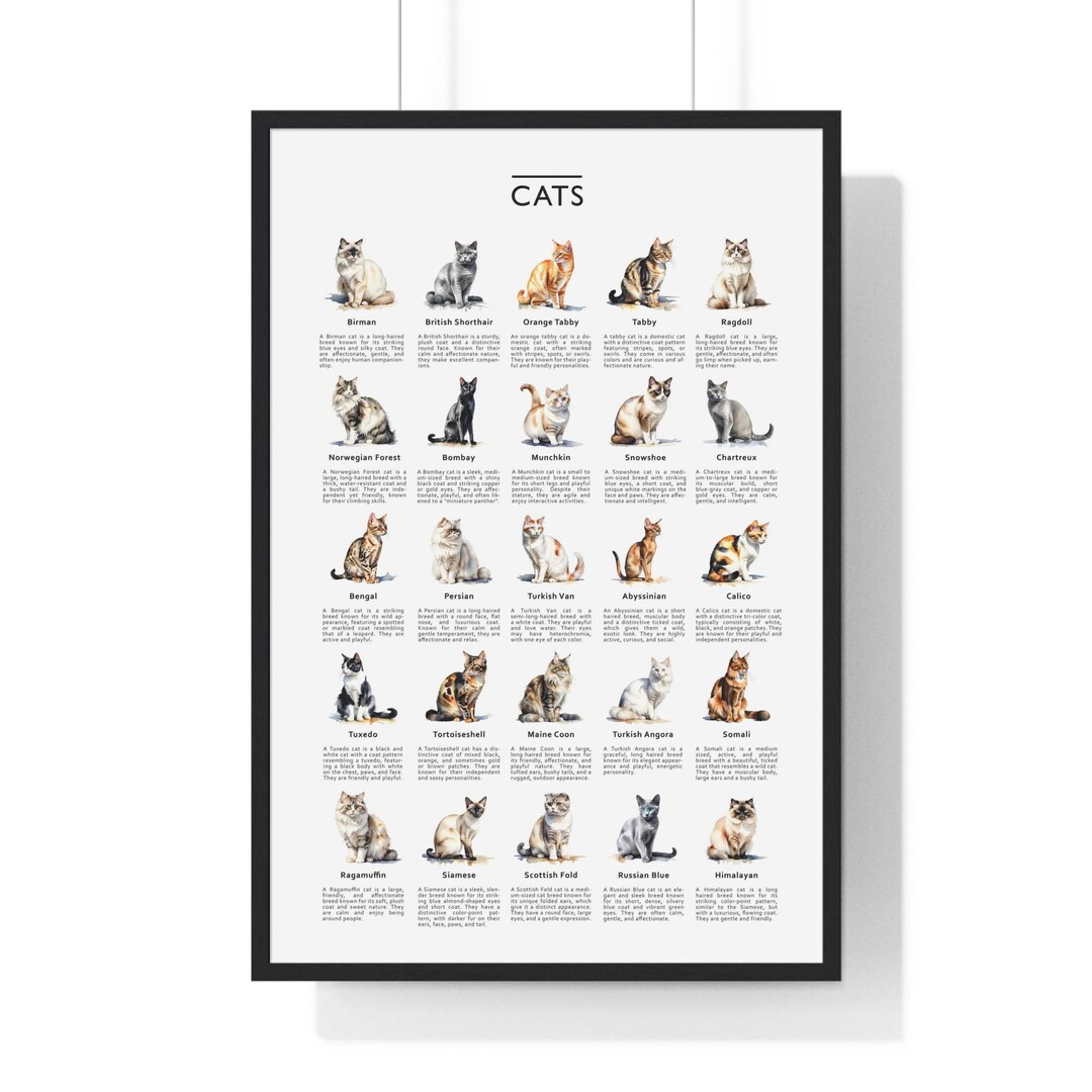 Cat Breeds Poster, Cat Poster, Cat Types Poster, Cat Wall Art Printable ...