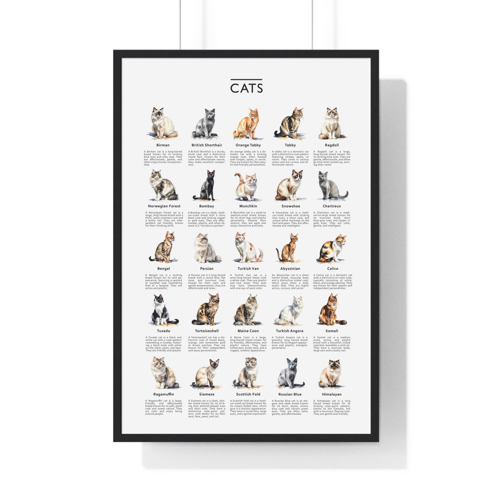 Cat Breeds Poster, Cat Poster, Cat Types Poster, Cat Wall Art Printable ...