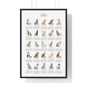 Cat Breeds Poster, Cat Poster, Cat Types Poster, Cat Wall Art Printable ...