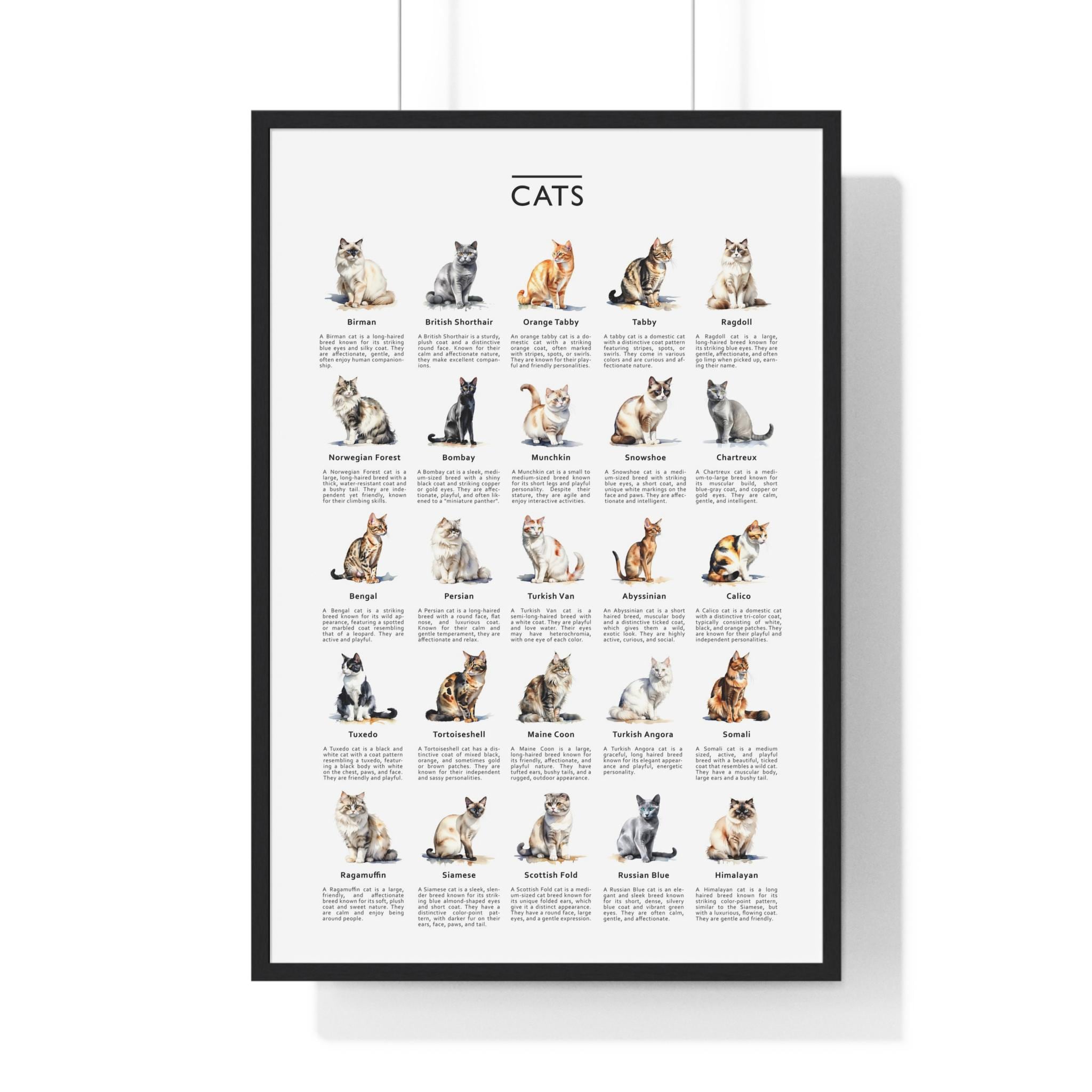 Cat Breeds Poster, Cat Poster, Cat Types Poster, Cat Wall Art Printable ...