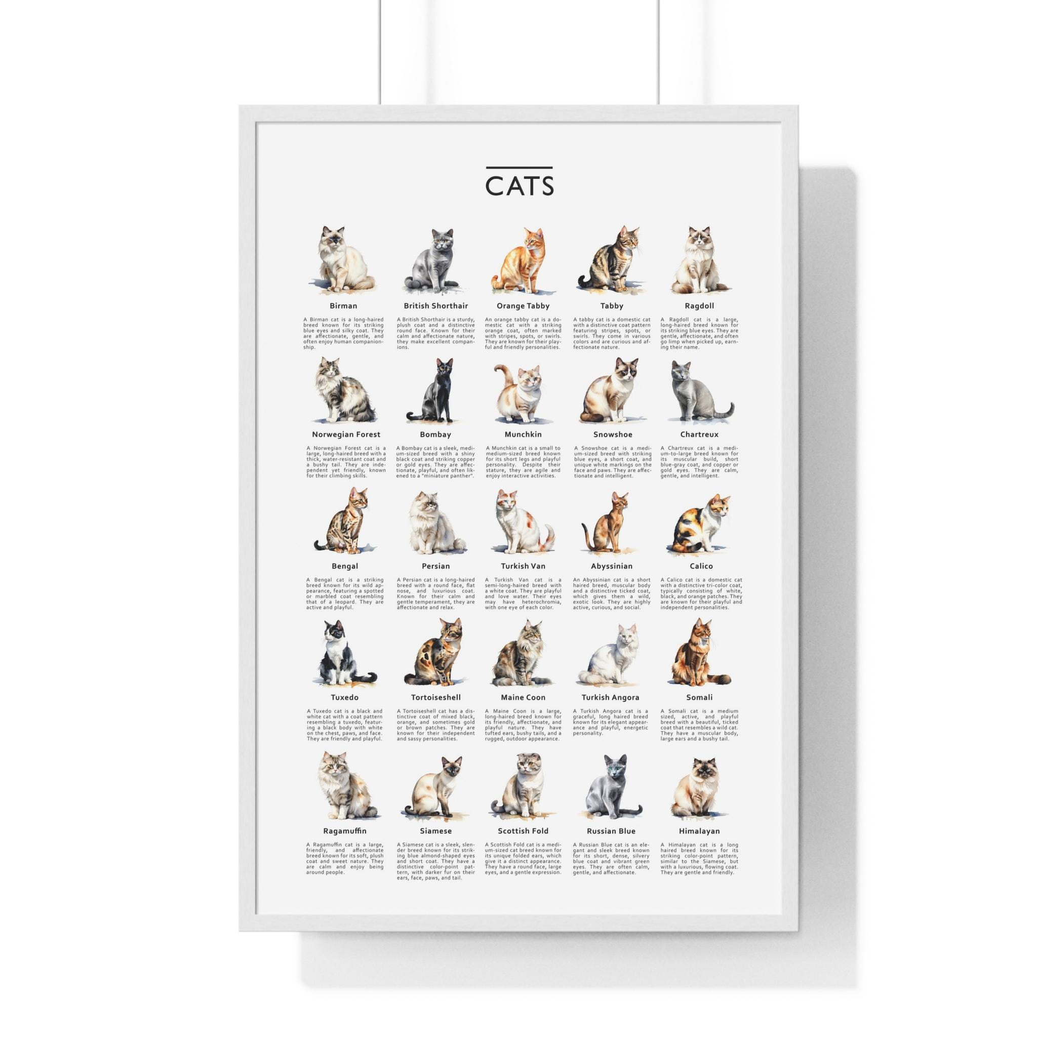 Cat Breeds Poster, Cat Poster, Cat Types Poster, Cat Wall Art Printable ...