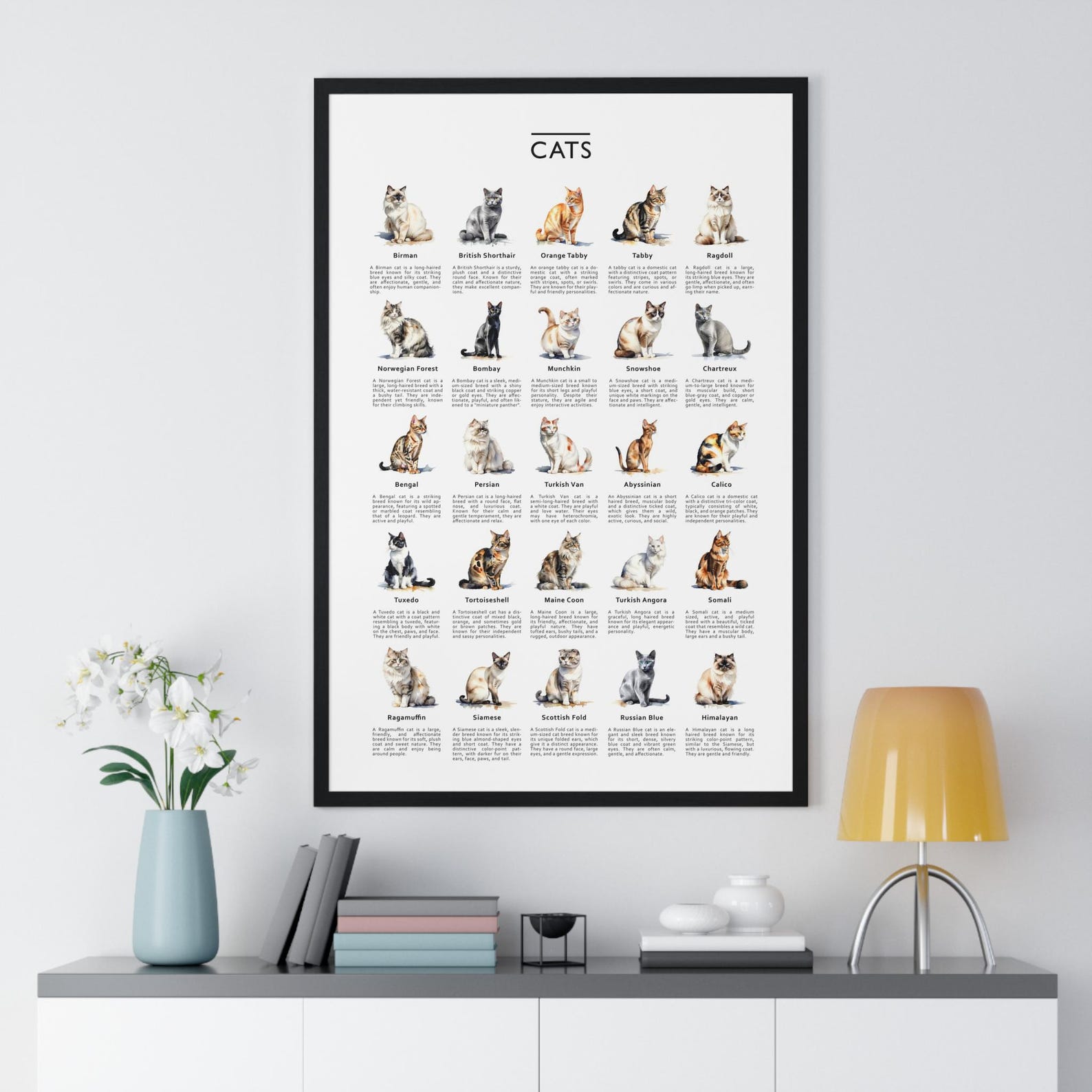 Cat Breeds Poster, Cat Poster, Cat Types Poster, Cat Wall Art Printable ...
