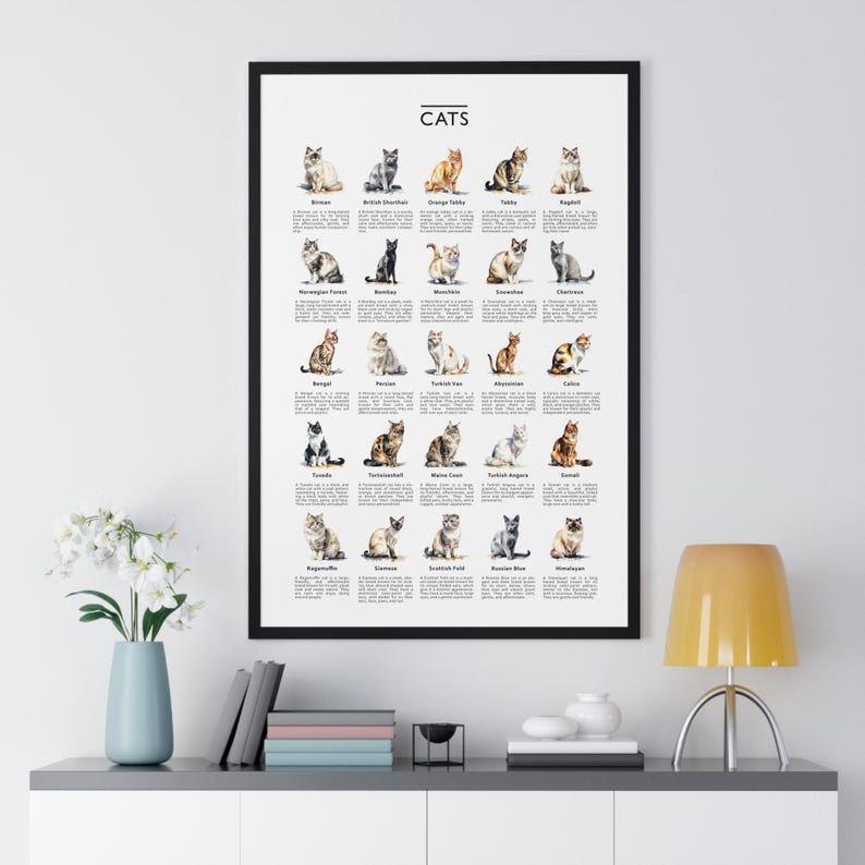 Cat Breeds Poster, Cat Poster, Cat Types Poster, Cat Wall Art Printable ...