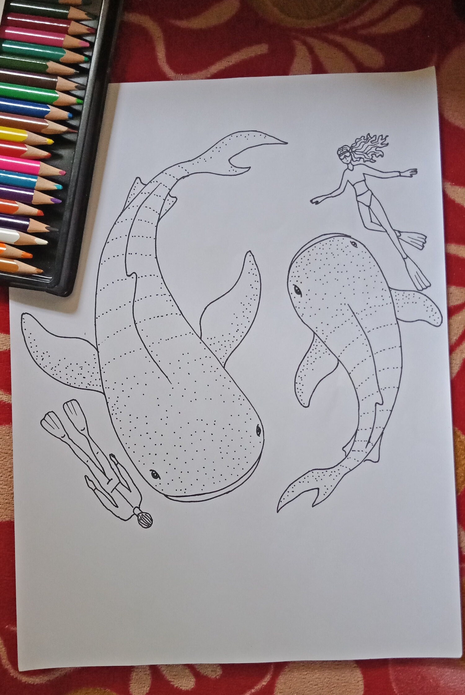 Whale Shark Coloring Sheet Printable Colouring Instant - Etsy