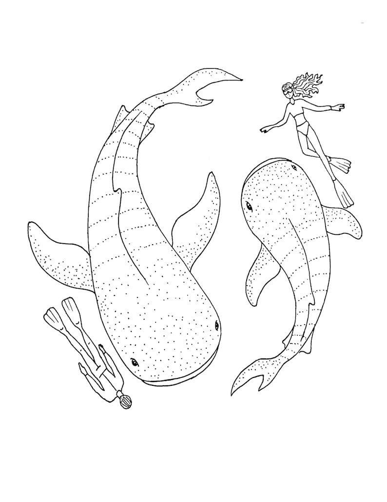 Whale Shark Coloring Sheet Printable Colouring Instant - Etsy