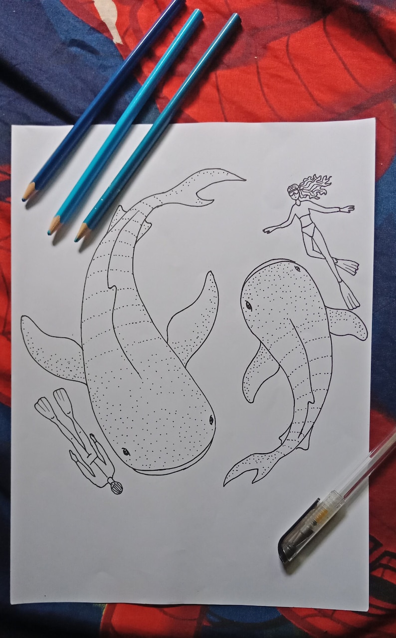 Whale Shark Coloring Sheet Printable Colouring Instant - Etsy
