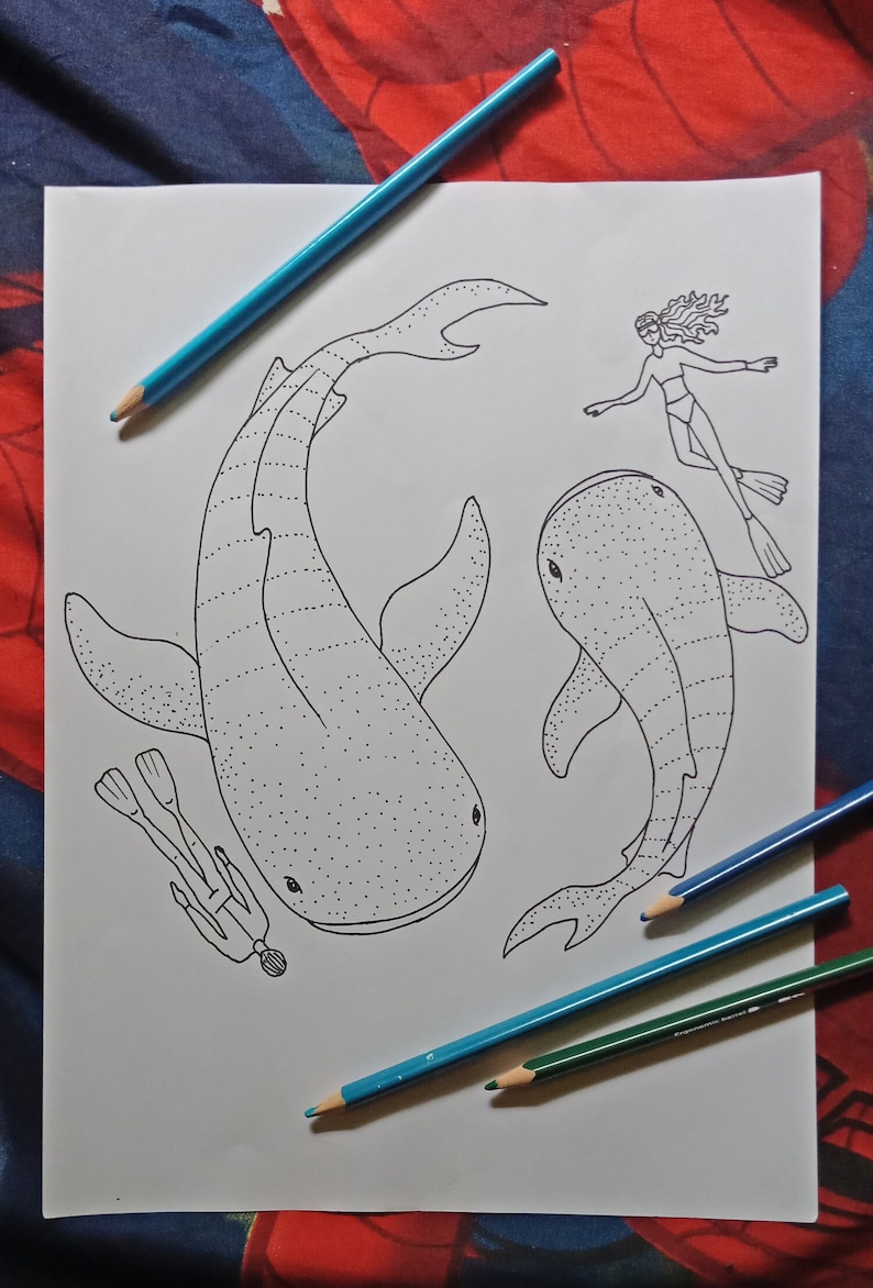 Whale Shark Coloring Sheet Printable Colouring Instant - Etsy