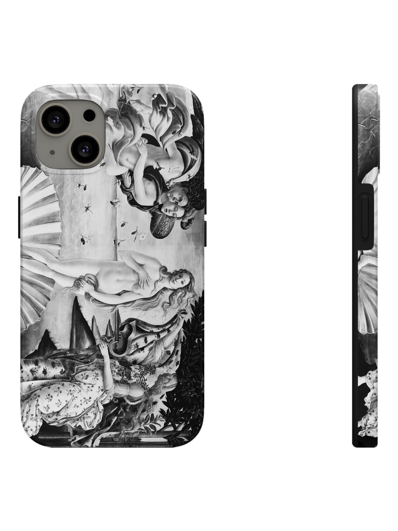 Sandro Botticelli, "the Birth of Venus," Art History Case | iPhone 12 ...