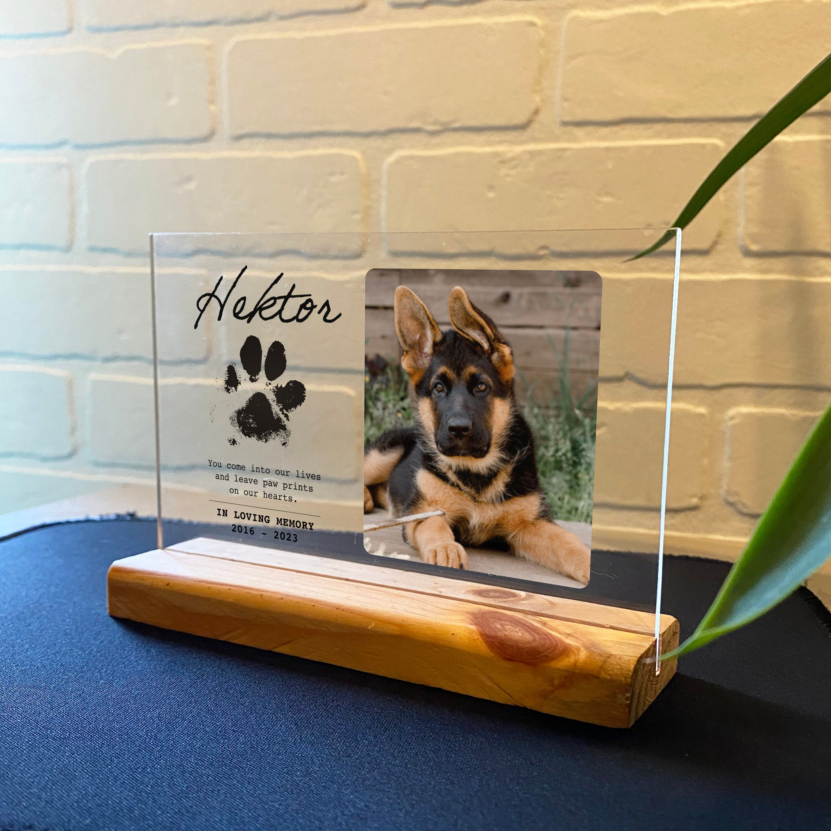 Personalized Memorial With Paw and Picture Plaque, Transparent Acrylic ...