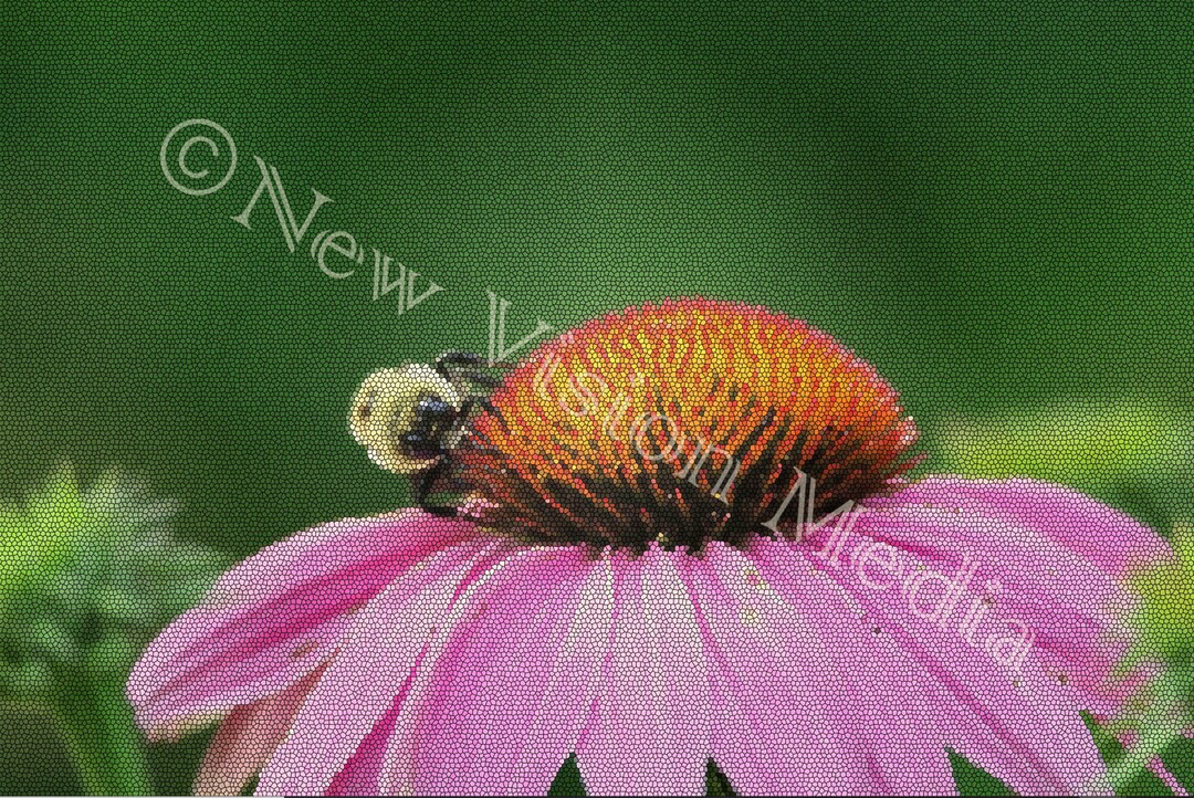 Bee Cone Flower Stained Glass Style Wall Art | Photography Prints ...