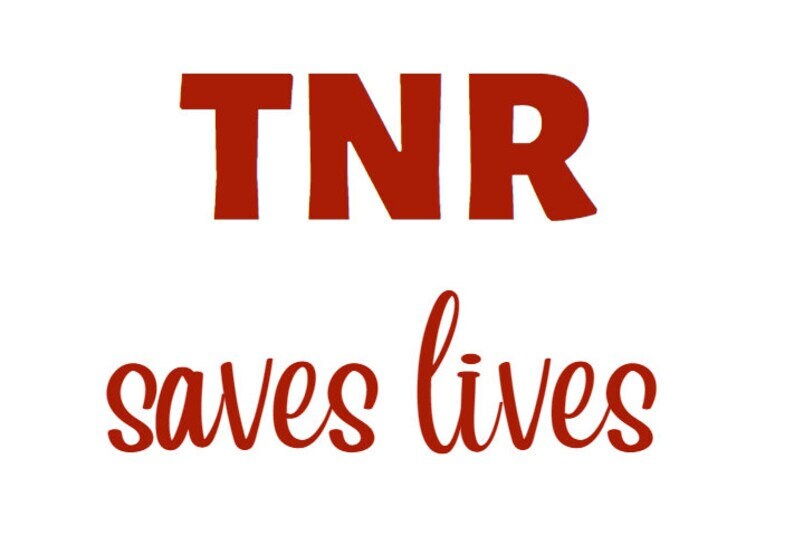 Trap, Neuter, Return TNR | Social Media Post Kit | Includes 4 Different ...