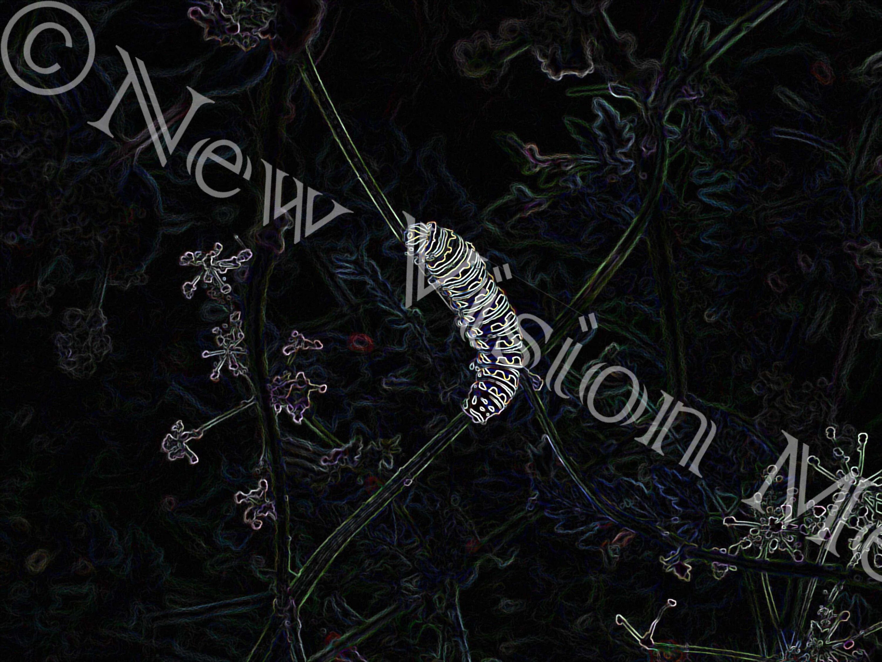 Neon Caterpillar Wall Art | Photography Prints Nature | Instant Digital ...