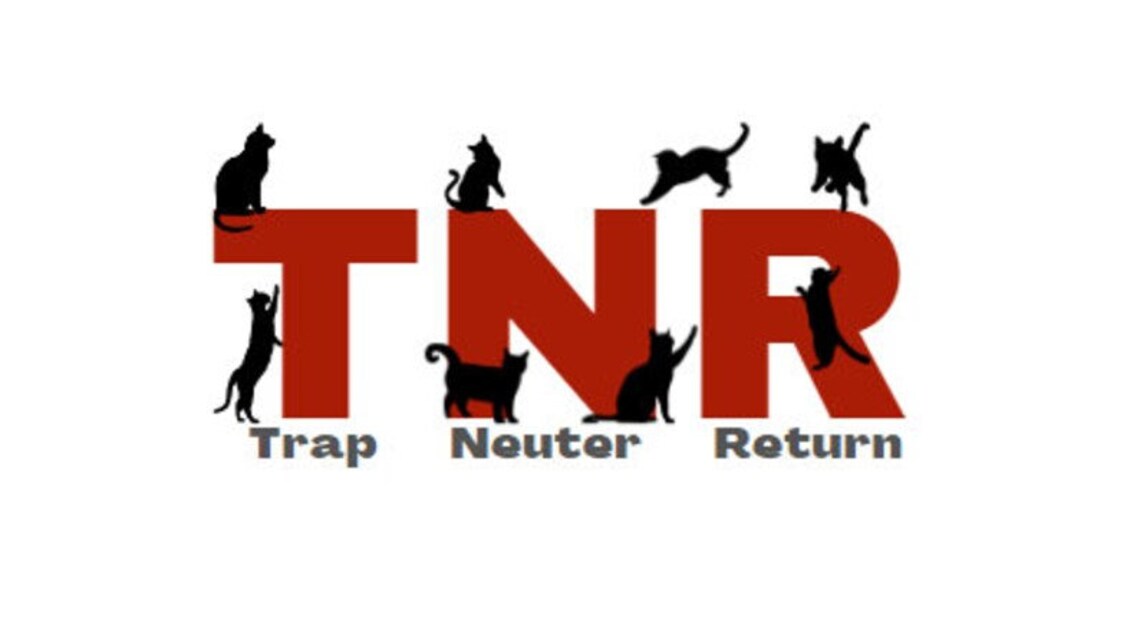 Trap, Neuter, Return TNR | Social Media Post Kit | Includes 4 Different ...