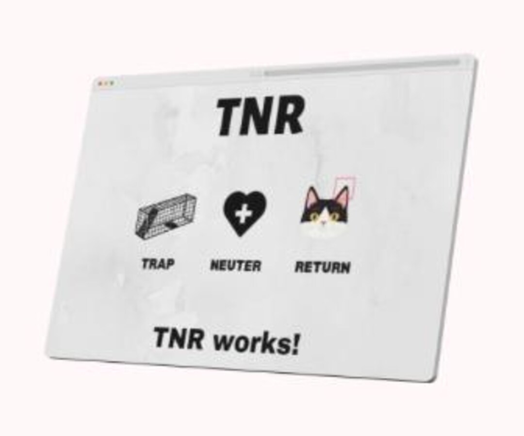 Trap, Neuter, Return TNR | Social Media Post Kit | Includes 4 Different ...