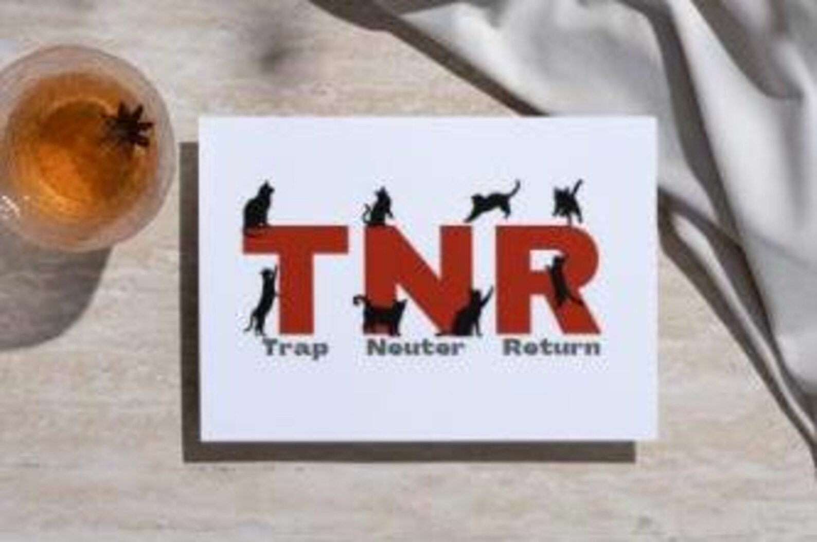 Trap, Neuter, Return TNR | Social Media Post Kit | Includes 4 Different ...