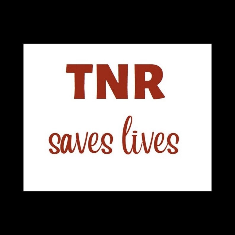 Trap, Neuter, Return TNR Social Media Post Kit Includes 4 Different ...