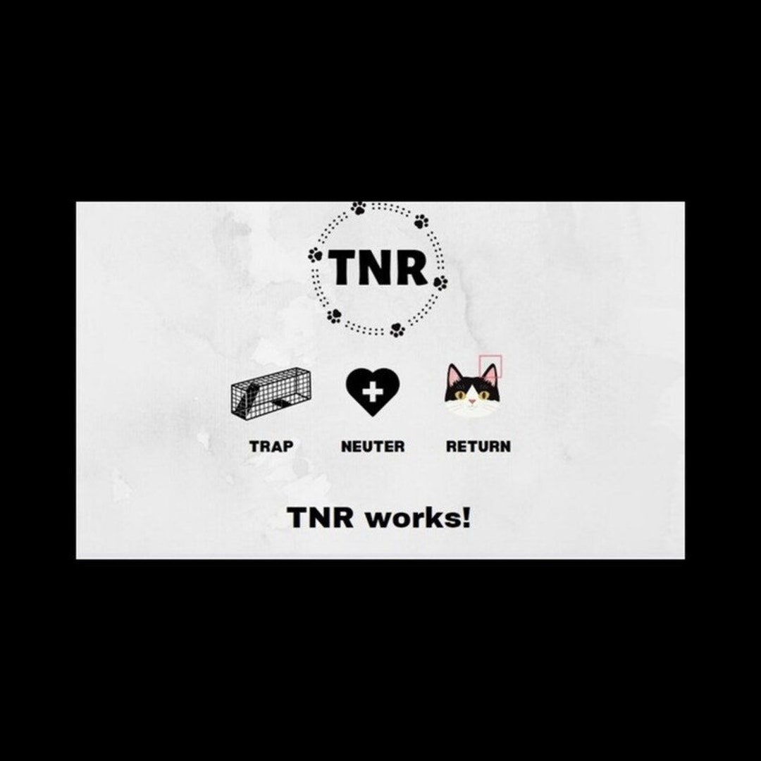 Trap, Neuter, Return TNR | Social Media Post Kit | Includes 4 Different ...