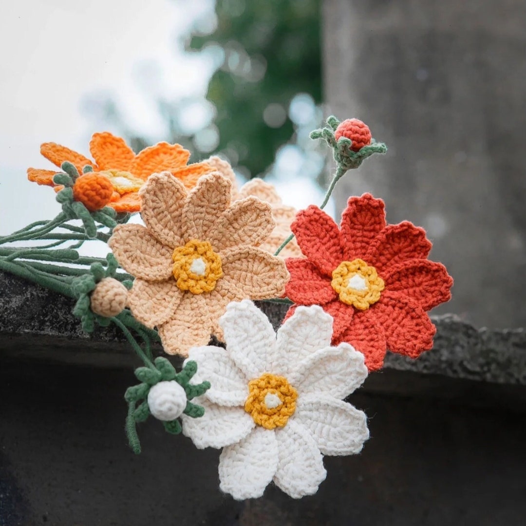 Digital Crochet Cosmos Pattern and Tutorial Video - Etsy