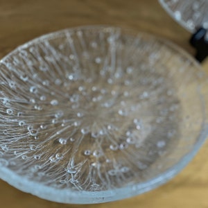 Set of 3 Vintage Glass Plates ~ Dew Drops on Grass ~ Selezione IVV ...