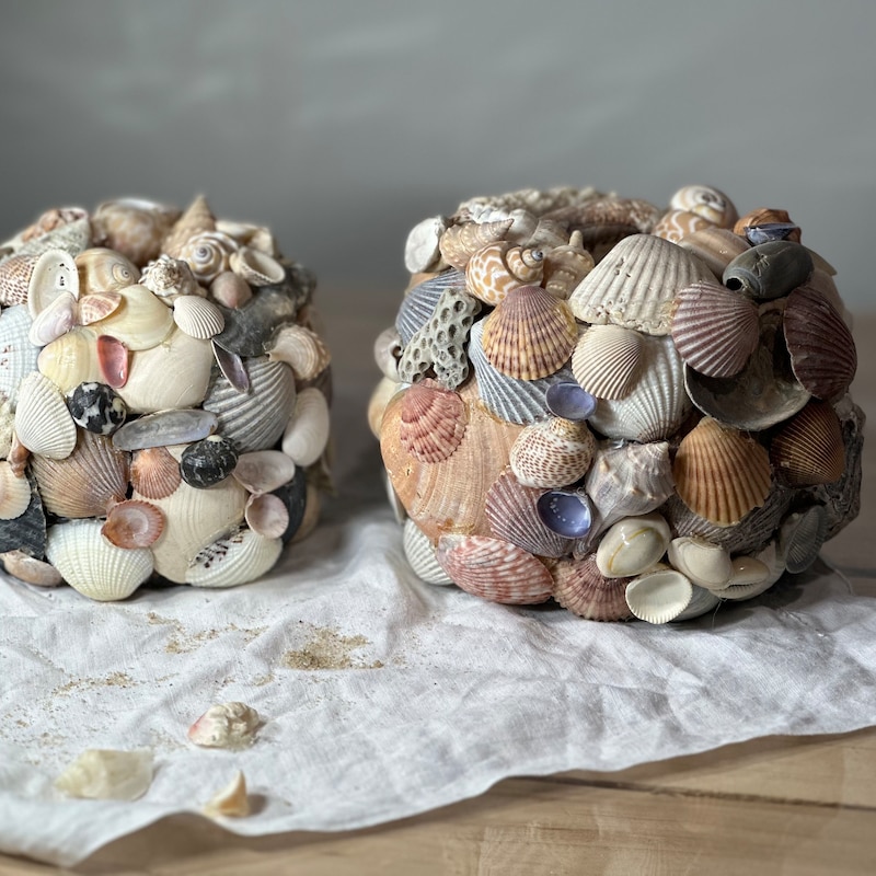 Oyster Shell Ball - Etsy