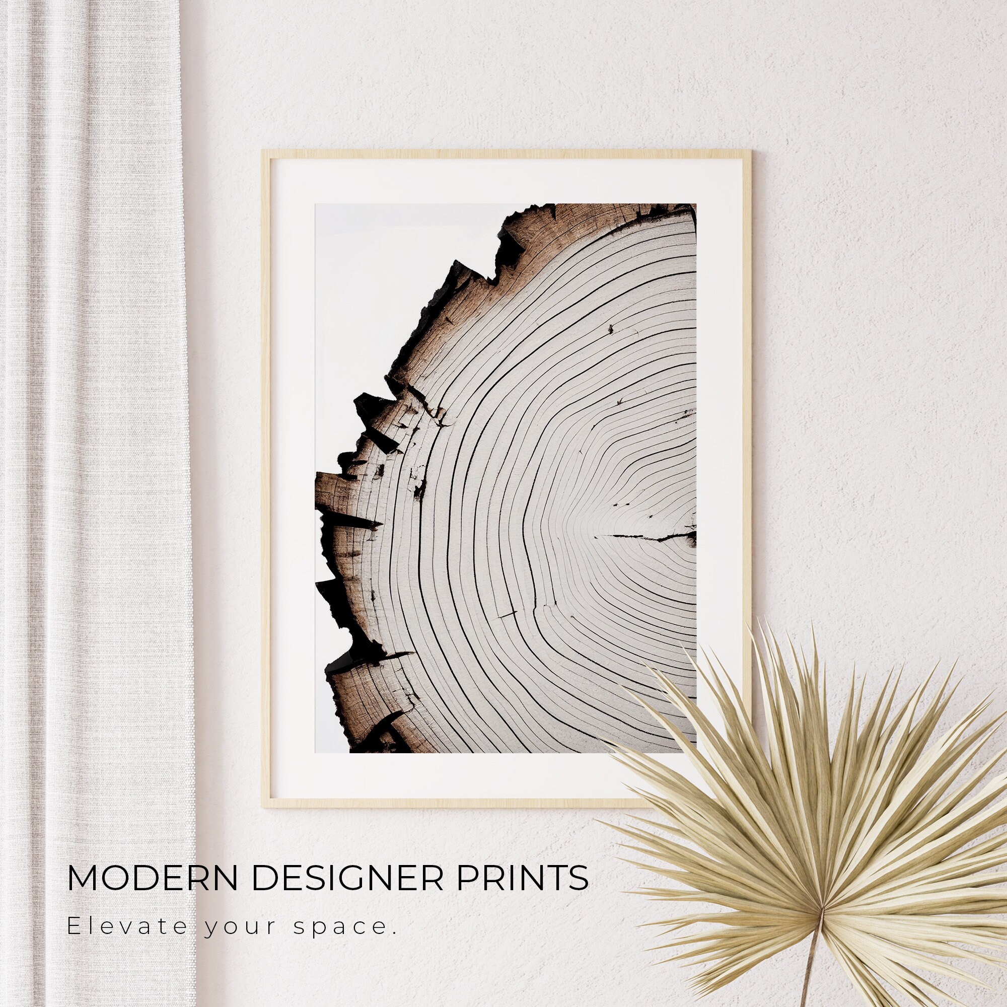 Tree Rings Print Brown Coloured Tree Print Pine Tree Ring - Etsy