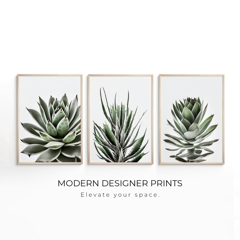 Succulent Wall Art - Etsy