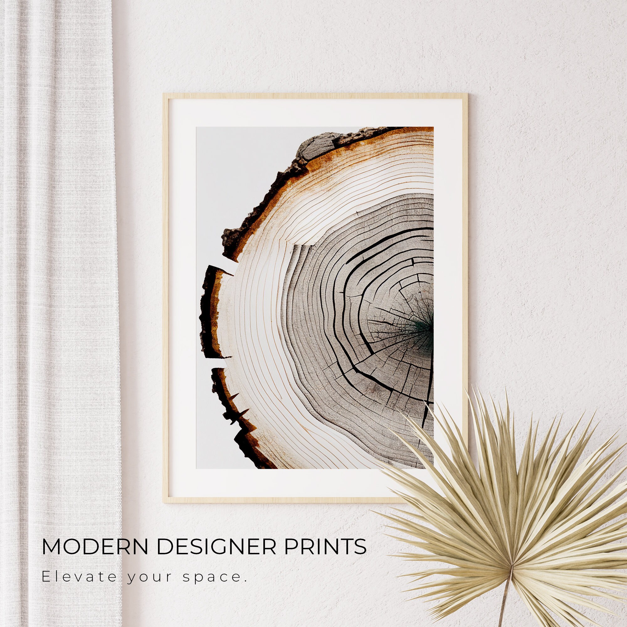 Tree Rings Print Brown Coloured Tree Print Pine Tree Ring - Etsy