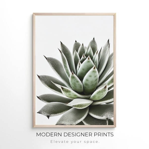 Succulent Wall Art - Etsy
