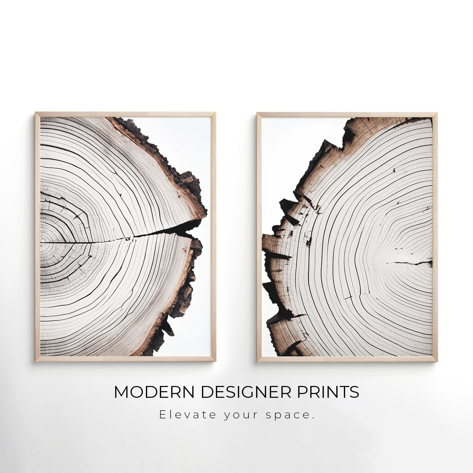 Set of 2 Tree Rings Print Brown Coloured Tree Print Pine - Etsy