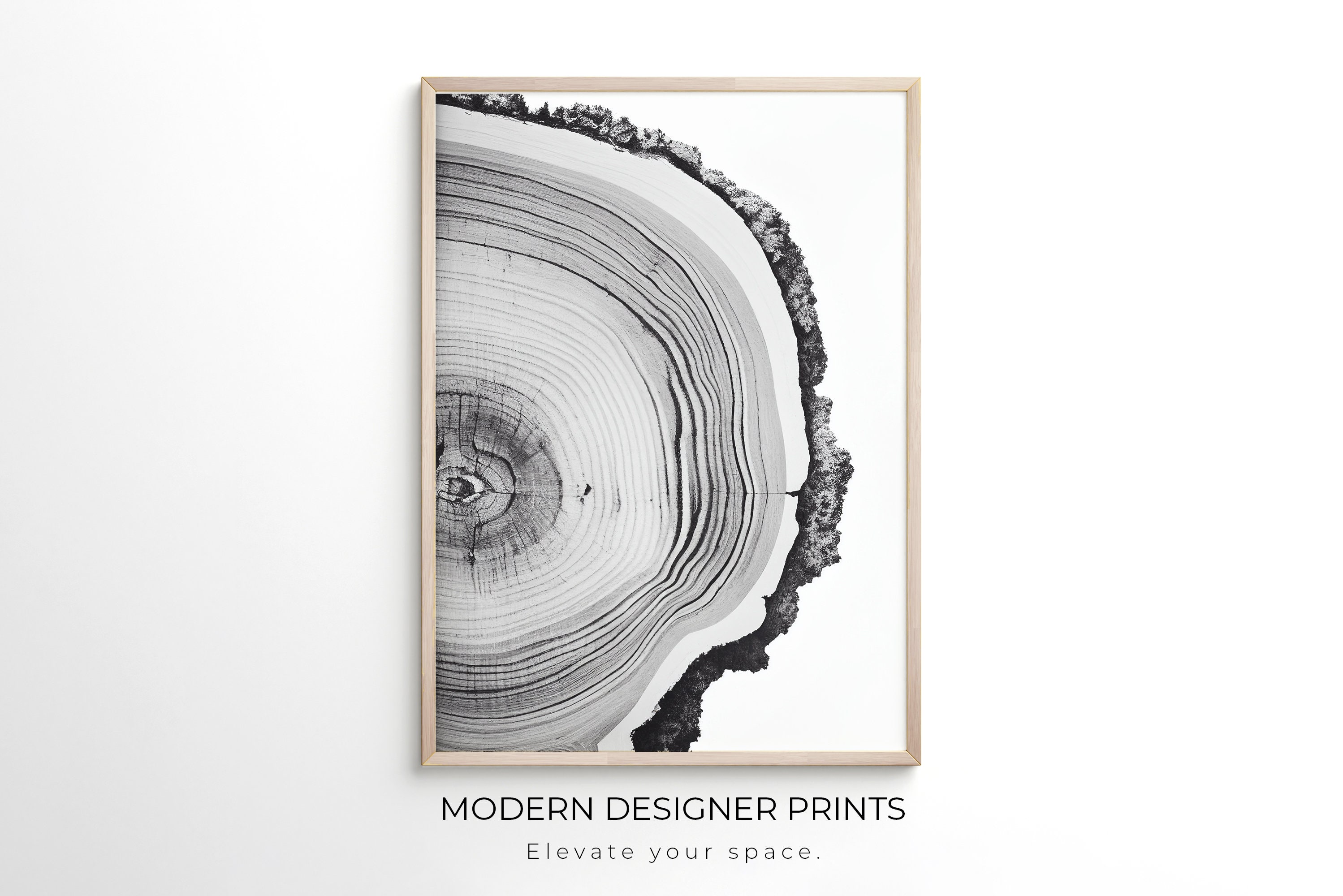 Set of 2 Tree Rings Print Black and White Tree Print Pine Tree Ring ...