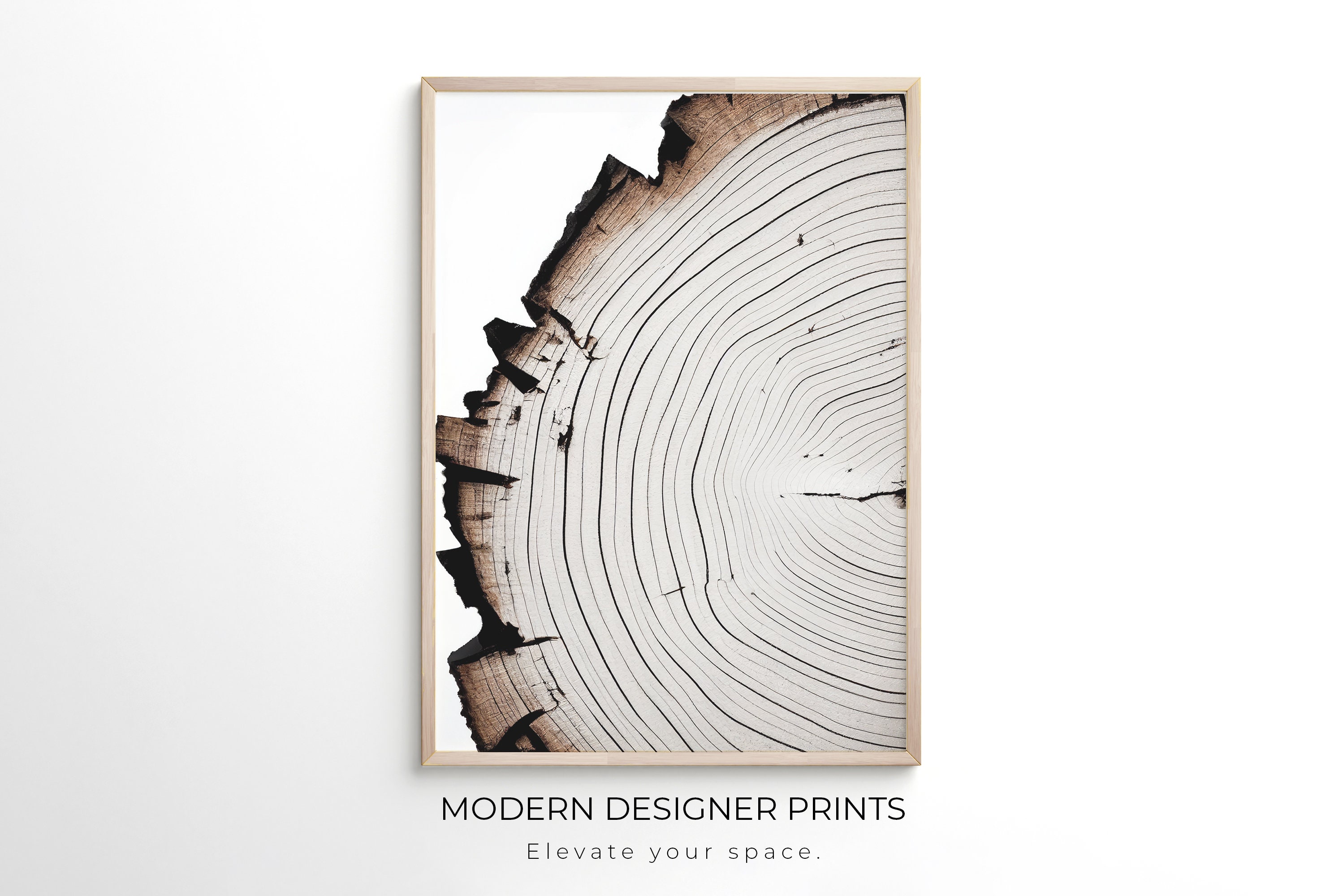 Set of 2 Tree Rings Print Brown Coloured Tree Print Pine - Etsy