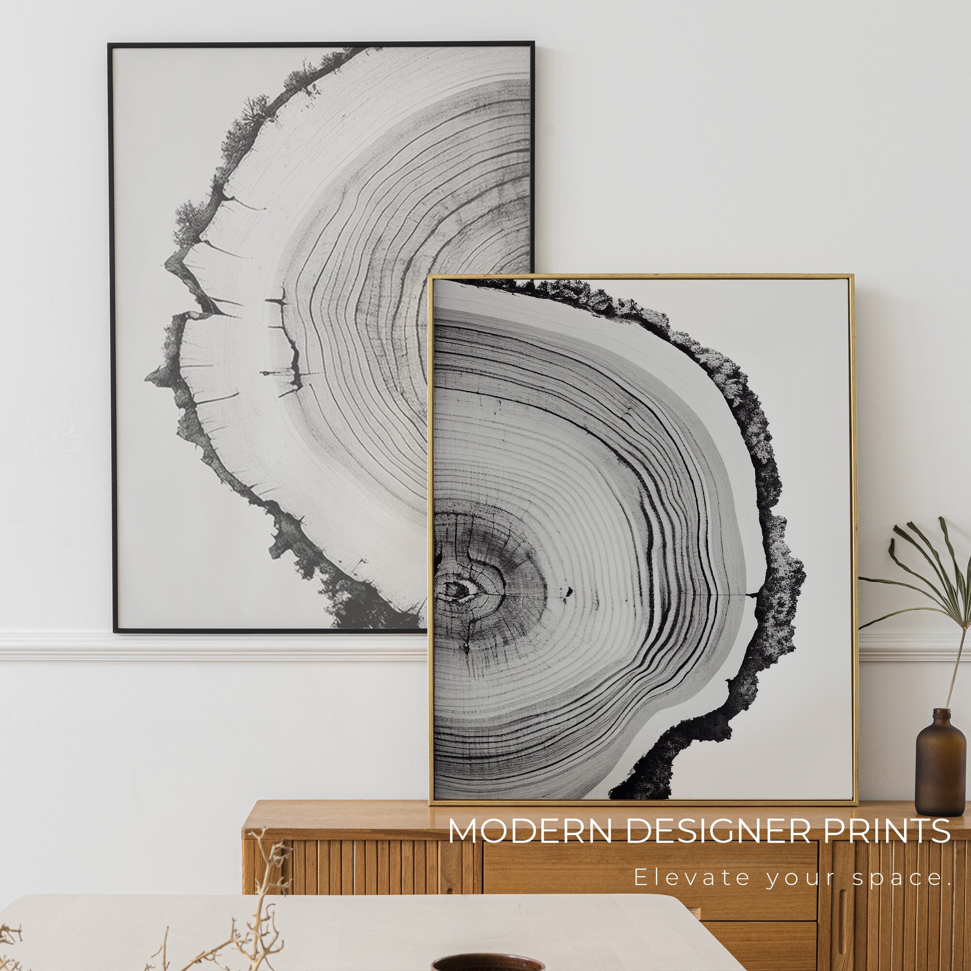 Set of 2 Tree Rings Print Black and White Tree Print Pine Tree Ring ...