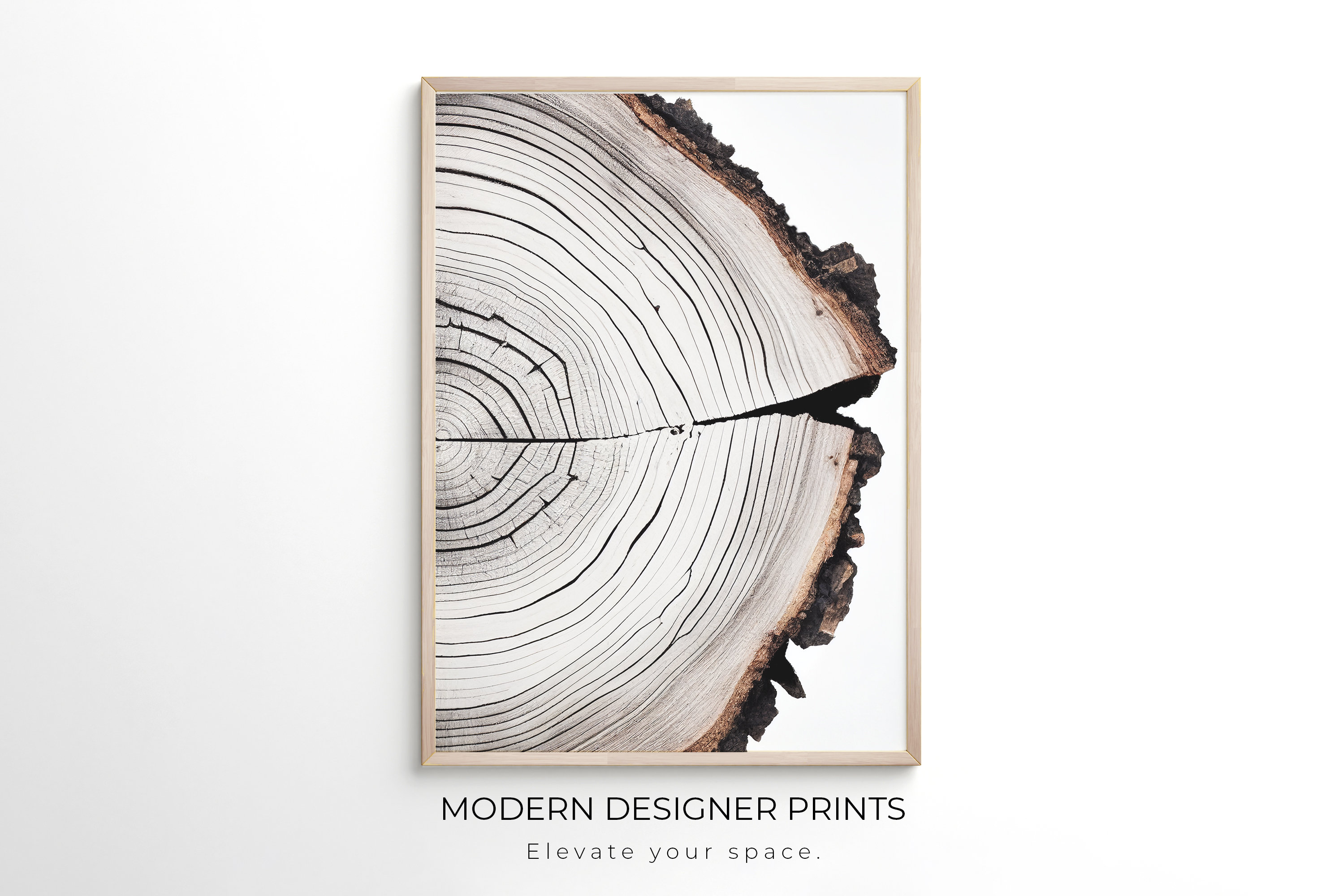 Set of 2 Tree Rings Print Brown Coloured Tree Print Pine - Etsy