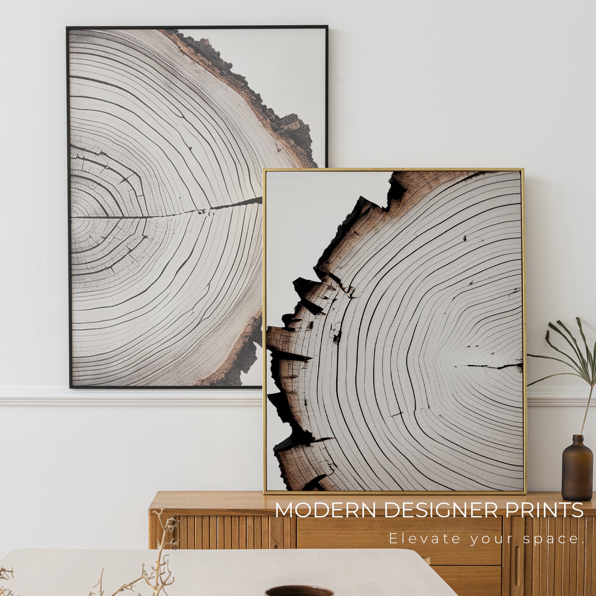 Set of 2 | Tree Rings Print | Brown Coloured Tree Print | Pine Tree ...