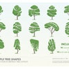 Flat Forest Tree Clipart Vector Collection Evergreen Trees Vector AI ...