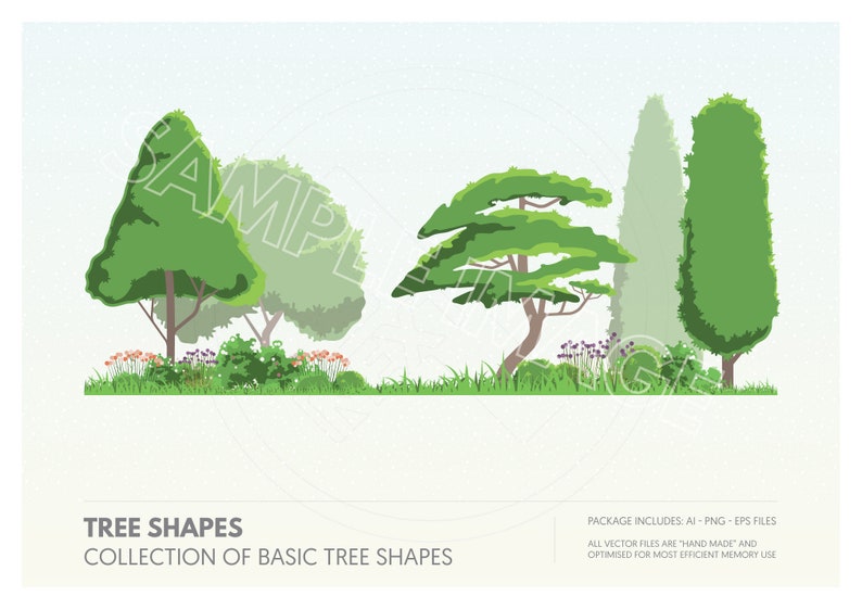 Tree Png | Tree Clipart Collection | Basic Tree Shapes | 12 Simple Tree ...