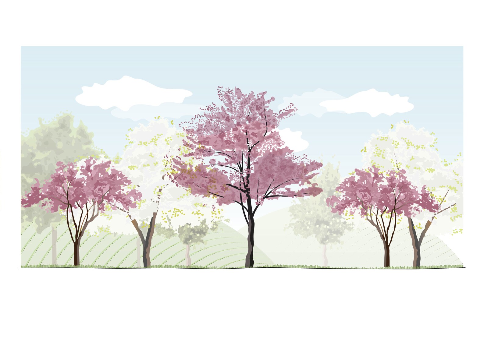Flowering Tree Clipart Vector Bundle | Vector Cutout Trees PNG, AI, EPS ...