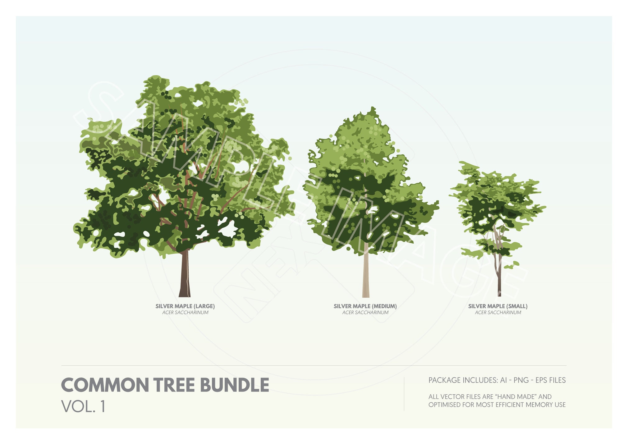 Maple Tree, Birch Tree Vector Trees Clipart Bundle | Vector Tree ...