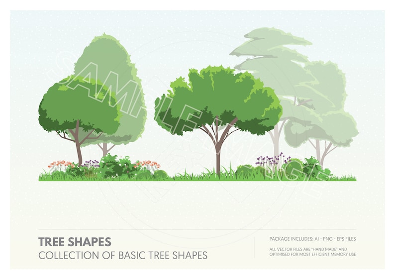 Tree Png | Tree Clipart Collection | Basic Tree Shapes | 12 Simple Tree ...